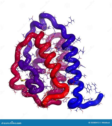 Granulocyte Colony Stimulating Factor Gcsf Filgrastim Molecule Used To Treat Neutropenia
