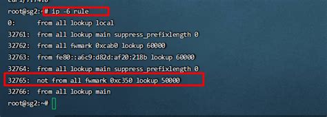 Help Wanted 求助 Warp Go Ipv6 非全局 · Issue 255 · Fscarmenwarp · Github