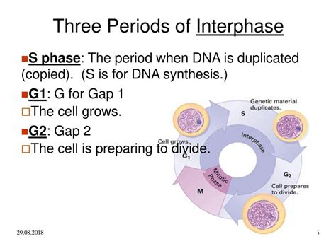 Chapter 9 Notes Ppt Download