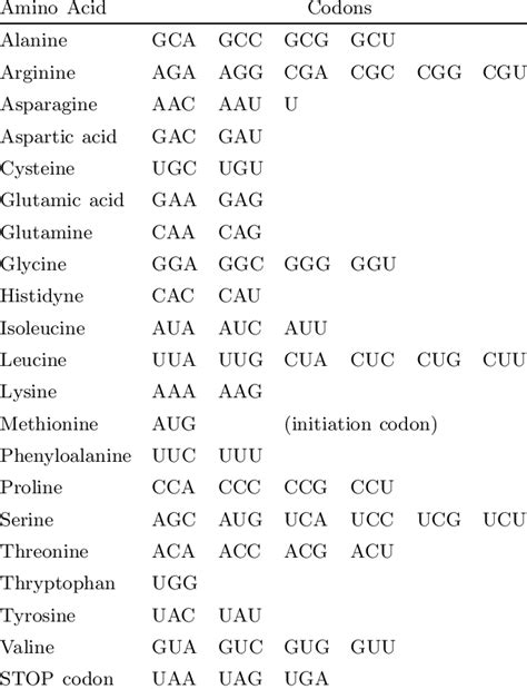 Amino Acid Codon Table Rna Cabinets Matttroy