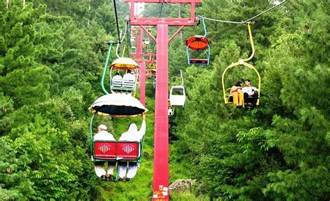 تله سیژ ناژوان، گذر در آسمان جنگل ناژوان ️ مجله سفربازی