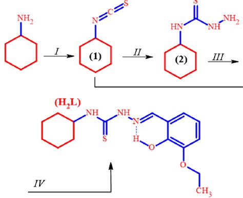 Schema De Sinteză A 4 Ciclohexil Tiosemicarbazonei 3 Etoxisalicil Download Scientific Diagram
