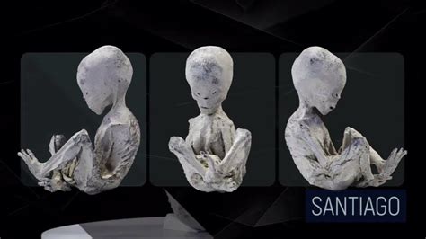 New Tridactyl Bodies Press Conference Jaime Maussan Youtube