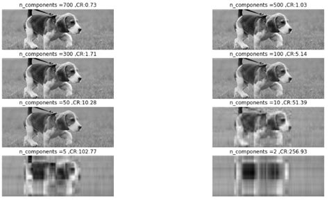 Github Shruthim23case Study Image Compression Using Singular Value