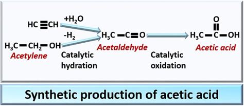 What Is Acetic Acid Production Definition Process Biosynthesis
