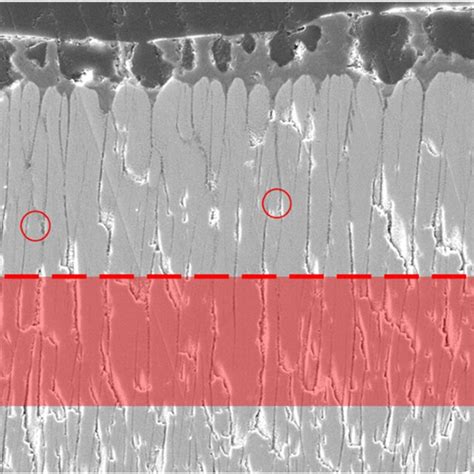 Cross Section Of Low Deposition Rate Condition 0 1 Mg Min With Download Scientific Diagram