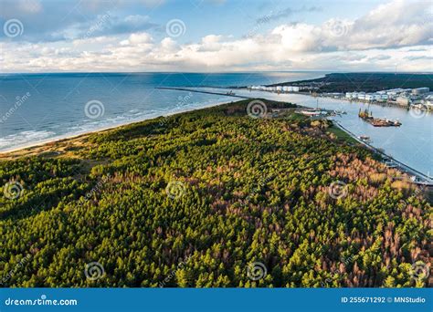 Aerial View Of The Curonian Spit Covered By Pine Forests Curved Sand