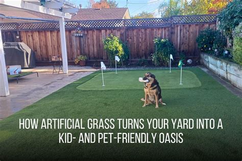 No Mow Artificial Grass For Busy Families Modesto Turf