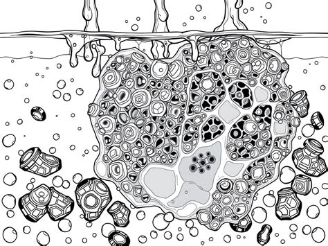 Revolutionizing Wastewater Treatment With Biochar Hydrogel Composites