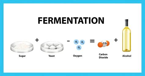 Beer Brewing Process Step By Step Guide People Power Beer