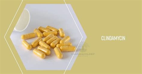 Clindamycin A Lincosamide Antibiotic Pharmacology Mentor