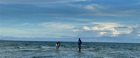 Millicent Barty Earth Company