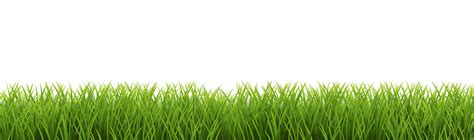 Green Grass Frame Isolated Wite Background Stock Illustration