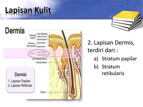 Sistem Integumen Pptx