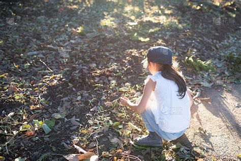 女孩捡起一颗橡子