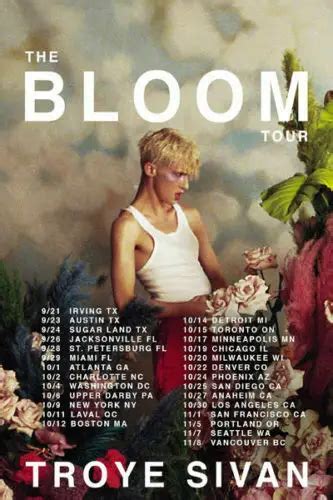 Troye Sivan Poster