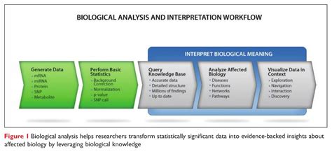 Biological Analysis And Interpretation For Improved Research Outcomes Drug Discovery World Ddw