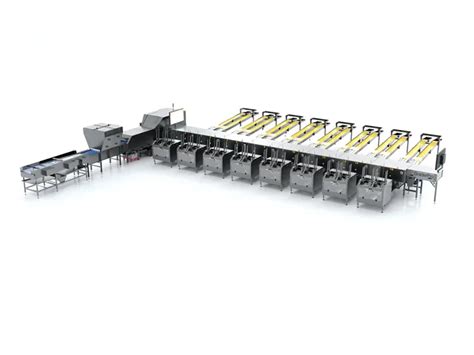 Medium Sized Grading And Packing Station Scalable And Efficient Egg