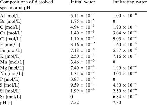 compositions of initial and infiltrating water for benchmark analysis