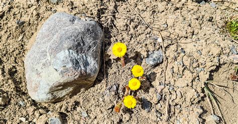 Grundvatten Och Förändrat Klimat