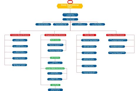 Oracle Organizational Chart Structure And Key Divisions