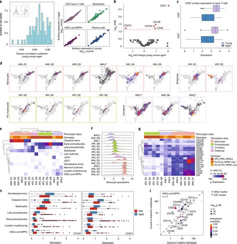 Adaptation Of Surface Protein Expression In Healthy Aging And Cancer A