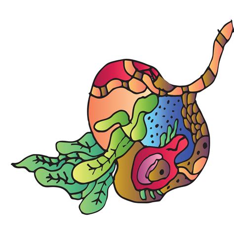 Seamless Cute Random Imaginative Doodles Full Color Abstract Tribal