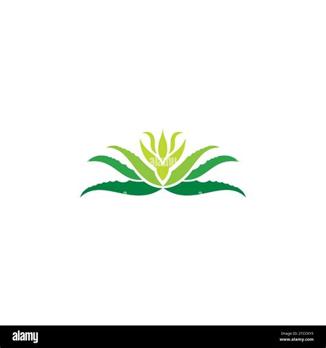 Aloe Vera Logo Design Template Aloevera Icon Stock Vector Image And Art