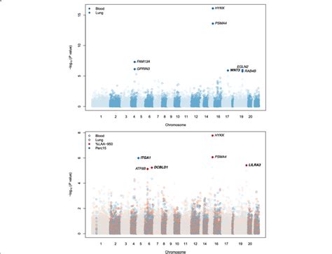 Manhattan Plots Of Associations Of Imputed Gene Expression And