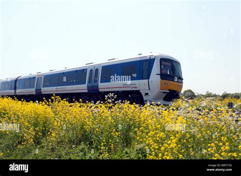 Chiltern Railways Class 165 Train Passing Lineside Flowers King`s
