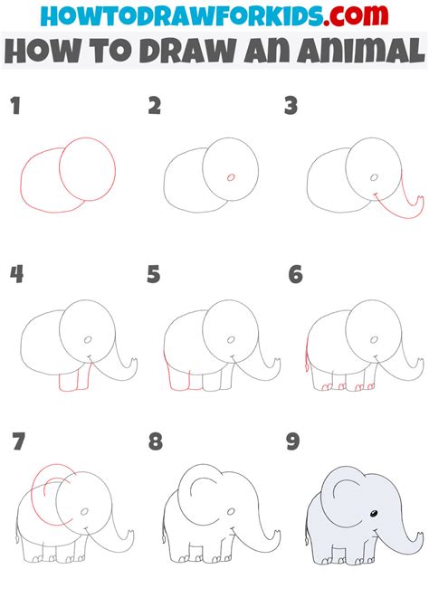 Animals Drawings Step By Step At James Velarde Blog