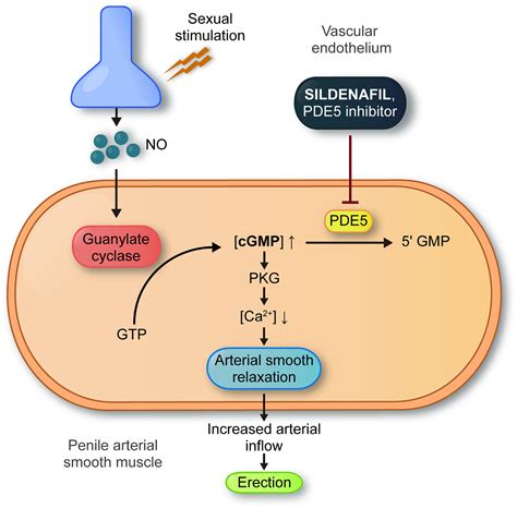 Frontiers New Approaches In Oncology For Repositioning Drugs The