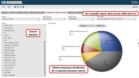 Data Governance Series Share Dataflux Data Quality Profiling Metrics