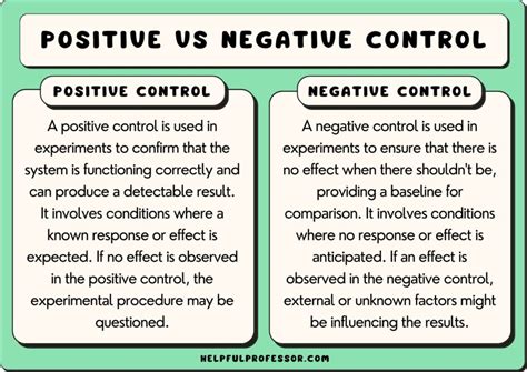 Positive Control Vs Negative Control Differences And Examples 2025