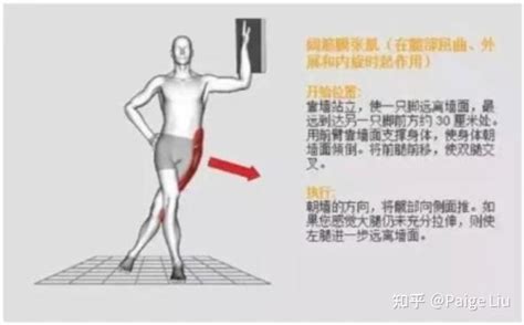 3分钟认识髌骨外侧高压综合征 知乎