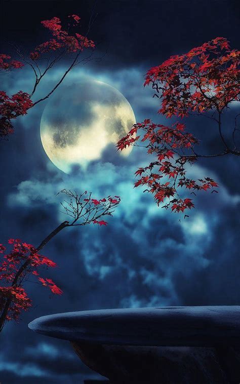 Mark Iacono Mark Iacono Updated His Cover Photo