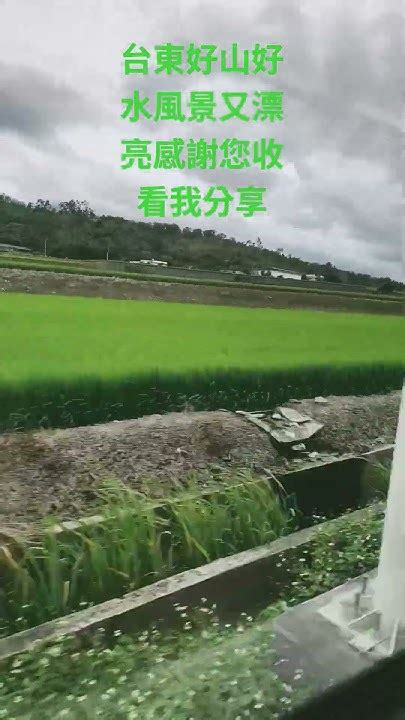 台東稻米田好漂亮台東生活分享 Taiwantaitung Youtube