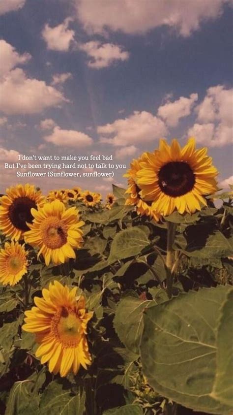 Quotes Aesthetic Wallpapers · 260 Backgrounds 📚🖋️💬