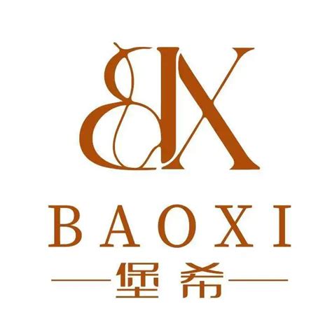 Company Overview Hangzhou Baoxi Trading Co Ltd