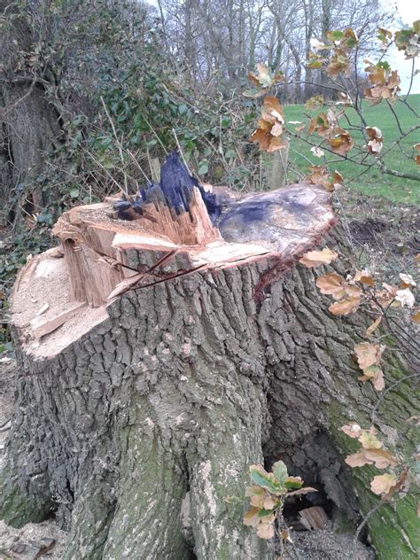 Nptc Would This Be A Pass Or Fail General Chat Arbtalk The