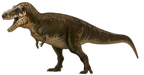 Pin By Hunterg4 On Paleoarte Prehistoric Tyrannosaurus Rex