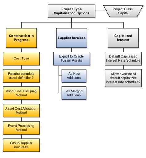 capitalization options for project types
