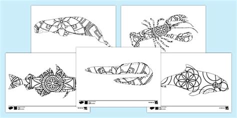 Mandala Sea Animals Colouring Pages Twinkl Ks2