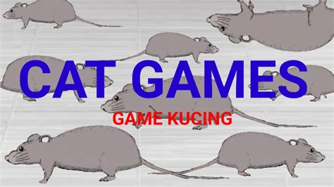 CAT GAMES Game Kucing Tikus Bergerak Mainan Kucing YouTube