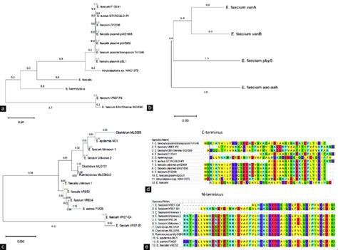 Analysis Of Evolutionary Conservation Across Bacterial Species And