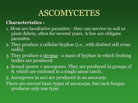 Ppt Rhizopus Sp On Peach Powerpoint Presentation Free Download Id 3216801