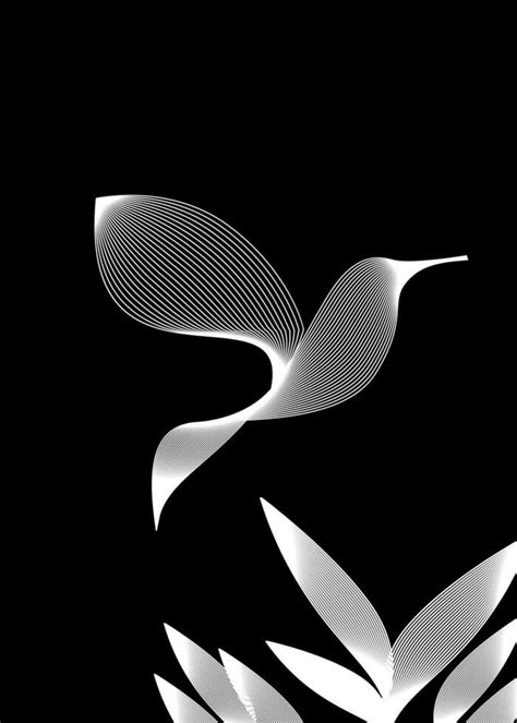 Colibri Nirmana 2d Vector Illustration 35681045 Vector Art At Vecteezy