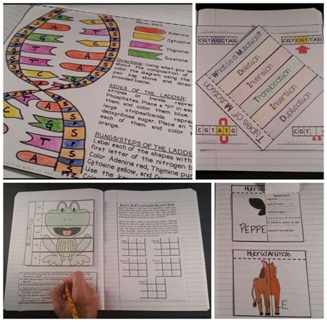 Genetics Heredity Inheritance Interactive Science Notebook