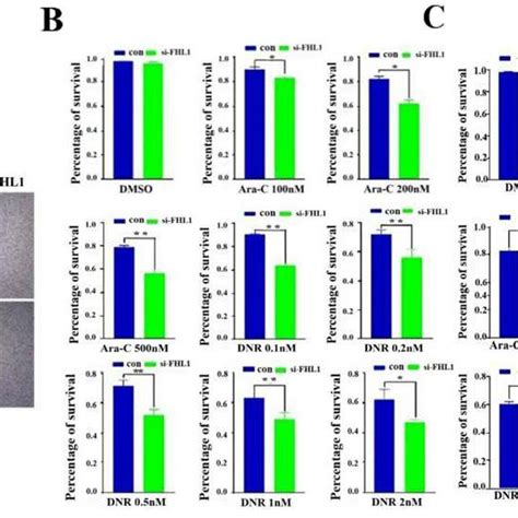 The Relative Enzyme Activities Of Wild Type Doxa And The Mutants