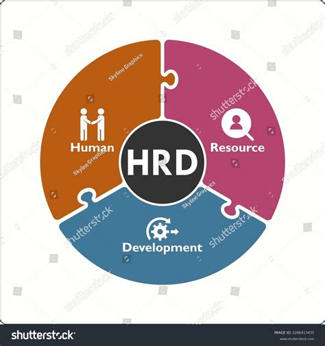 Hrd Human Resources Development Acronym Infographic เวกเตอร์สต็อก